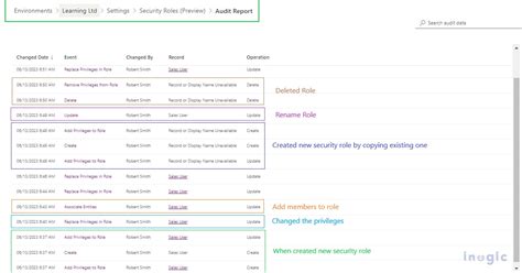 Auditing Of Security Role In Microsoft Dynamic 365 Crm With Enhanced Ui