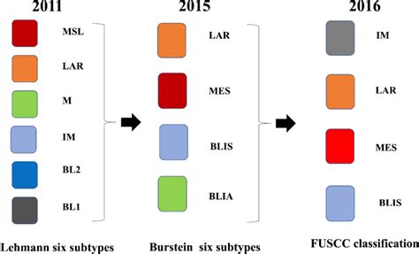 In 2011 Lehmann Et Al Categorize Tnbc Into Six Different Subtypes