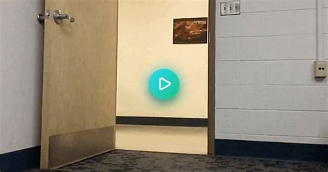 Doggie Day At Work After The Floors Were Waxed Album On Imgur