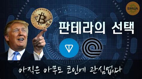 트럼프 미국을 암호화폐 수도로 판테라 캐피털의 선택 톤코인 온도 예측시장 Drift 엘살바도르 비트코인 성공신화