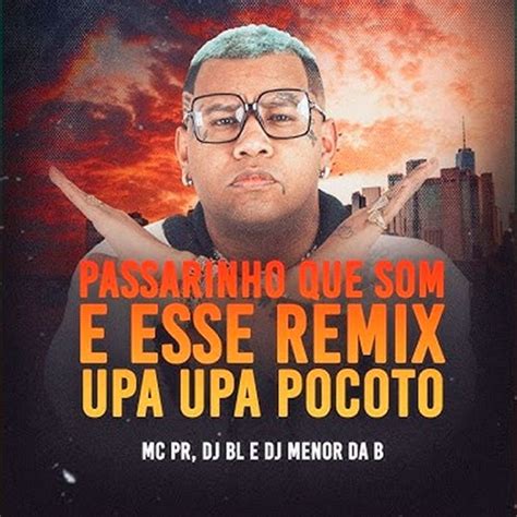 Passarinho Que Som É Esse by MC PR DJ BL and DJ Menor da B on Beatsource