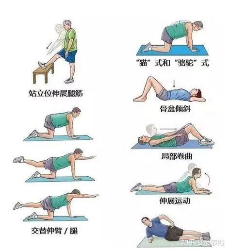 为什么腰肌劳损医生还推荐锻炼腰背肌？ 知乎