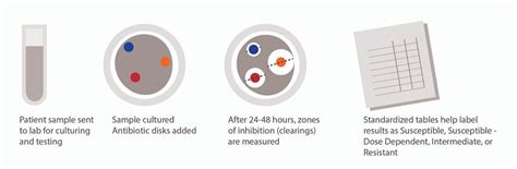 What Is An Antibiogram