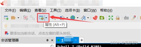 【最全最细】linux系统服务器使用tensorboard实现可视化操作tensorboardx配置xshell Csdn博客