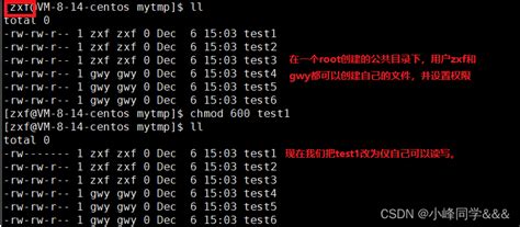 【linux】shell命令以及运行原理和linux权限详解 linux默认shell解释 csdn博客