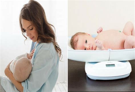 A Complete Chart On Average Weight Gain For Breastfed Babies