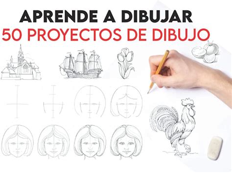 Descubrir más de 81 pasos para aprender a dibujar camera edu vn