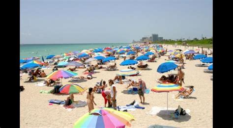Haulover Beach Park South Florida Finds
