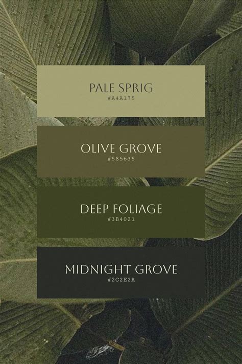 Monochromatic Color Palette Lush Canopy Earthy Green Tones Color