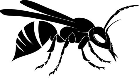 Killer Bee」の写真素材 643件の無料イラスト画像 Adobe Stock