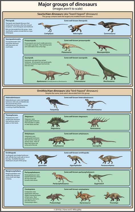Dinosaur Classification Simplified Emily Willoughby Art