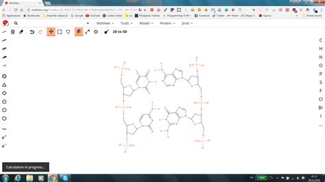 Dna Diagram Quizlet