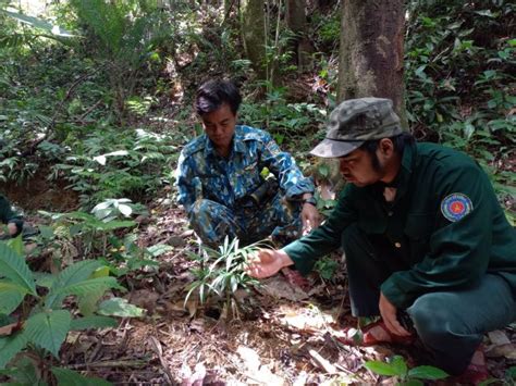 Community Based Protection Promotes Forest Conservation