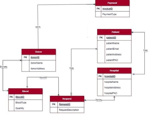 Solved I Have This Diagram In Need It In Relational Mapping Chegg Com