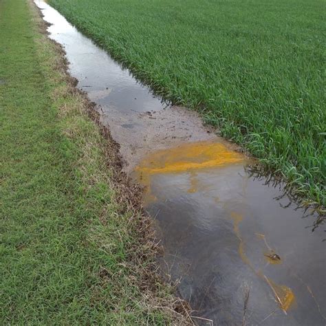 Emilio Alberto Moris Posted On Linkedin