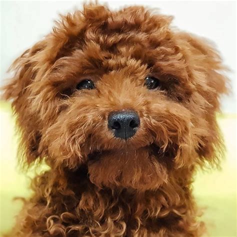 데이터로 건강해지자 스마트워치 활용 심박수 수면 패턴 분석 노하우