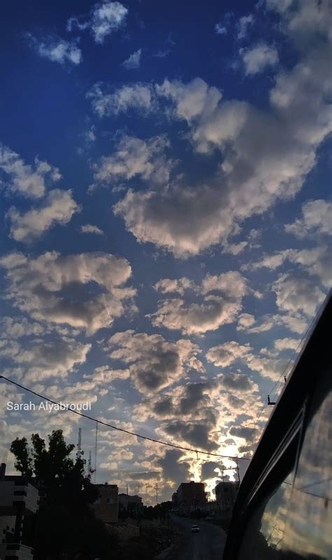 السما شجر غيوم طبيعة حب تصوير