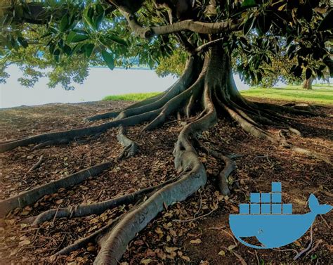 Cobol To Java Migration Guide Overcast Blog