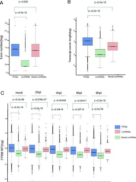 comparisons of transcript length exon number and expression levels of