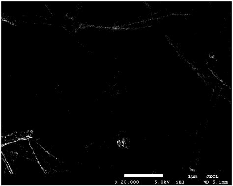 N Doped Metal Cobalt Carbon Nanofiber Composite Material And