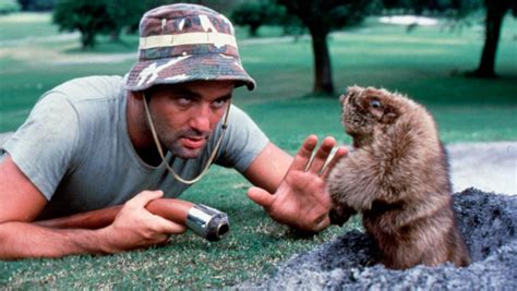 Caddyshack Happens In Real Life See The Unbelievable Gopher Golf Video