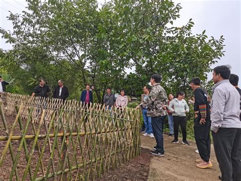 凉山乡人居环境整治助推“绿美乡村”建设 元谋县人民政府