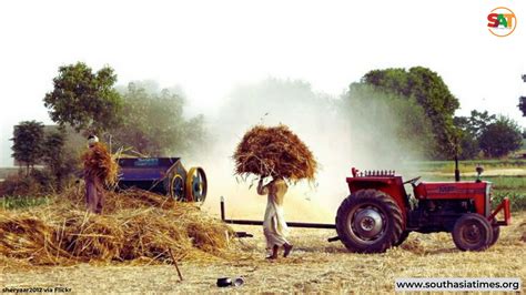 Wheat Crisis Pakistans Data Driven Fix South Asia Times