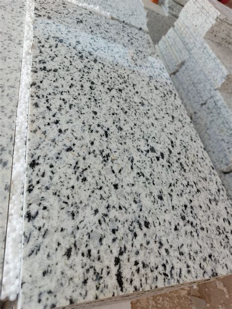 Halayeb La Mark Stone