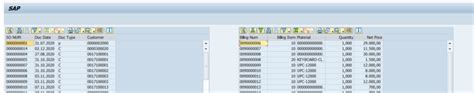 Oops Alv In Sap Abap Erp Teacher