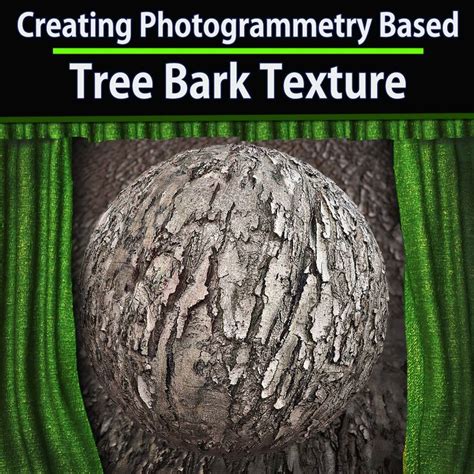 Creating Photogrammetry Based Tree Bark Texture Grzegorz Baran Tree Bark Texture Tree Bark