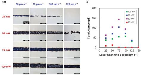 Direct Patterning Of Conductive Structures On Hydrogels By Laser‐based Graphitization For