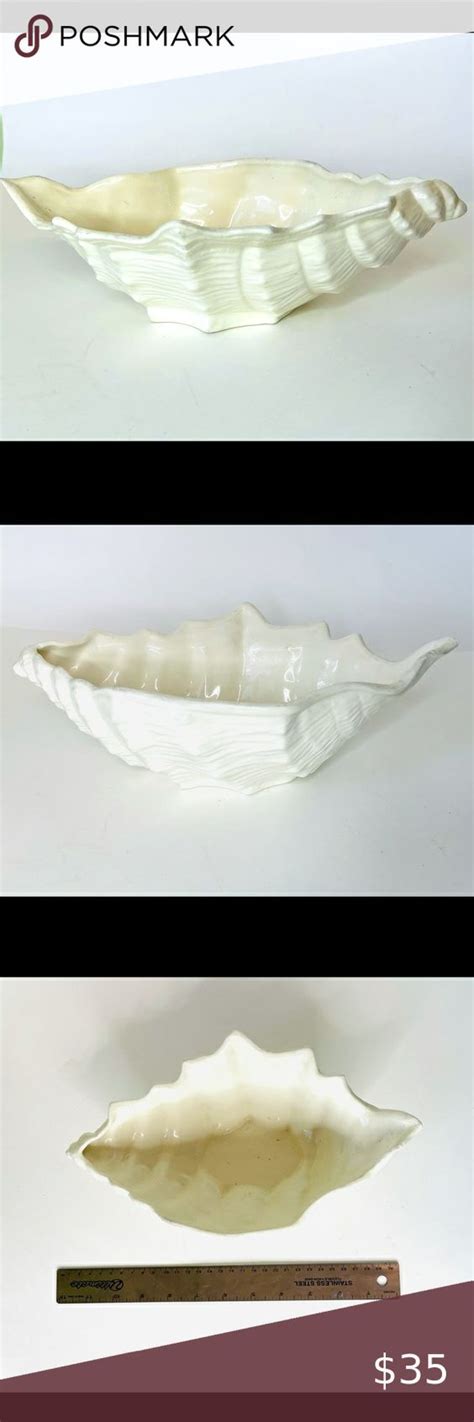 Conch Shell Pottery Bowl Ceramic Planter Pottery Bowls Ceramic Bowls