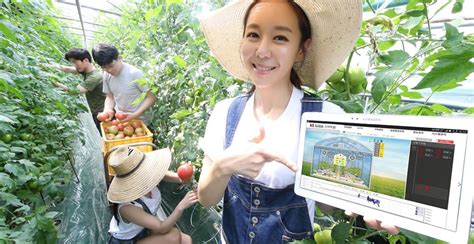 Kt It기반 부자농부 만든다” Ict 농업융합 스마트팜사업 본격 착수 피치원미디어