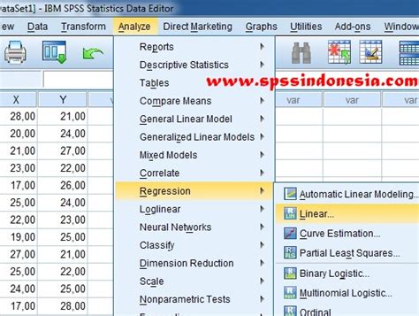 Teknik Analisis Data Regresi Linier Berganda