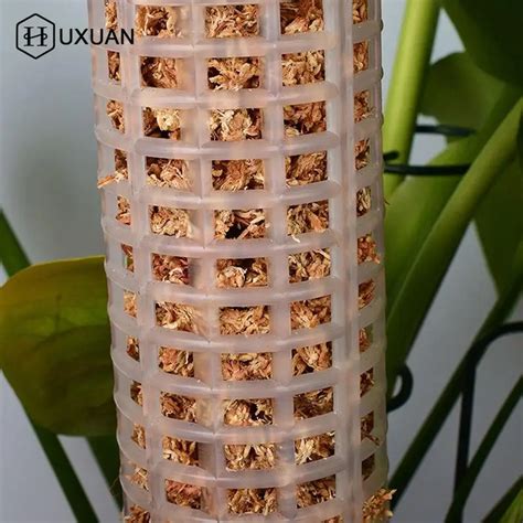 식물 등반 프레임 쌓을 수 있는 식물 이끼 스틱 플라스틱 할로우아한 디자인 이끼 기둥 화분 등반 지원 스틱 Aliexpress