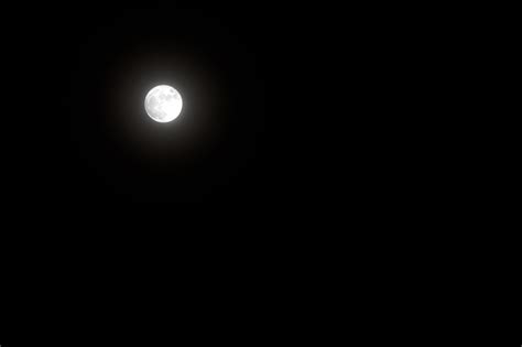 White Moon · Free Stock Photo