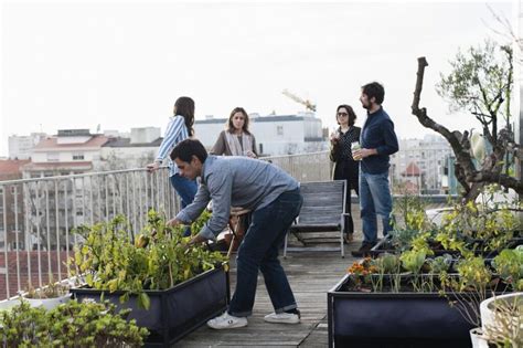 Hortalizas Para Huertos Urbanos Descubre Las Opciones Ideales Para