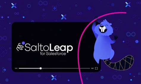 Demystifying Cannot Insert Update Errors In Salesforce Salto