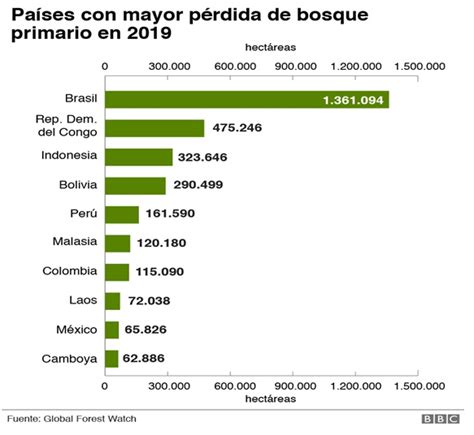 Los Incendios Forestales De Todos Los Años Cooperacción