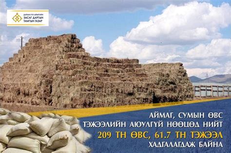 Аймаг сумын өвс тэжээлийн аюулгүй нөөцөд нийт 209 тн өвс 61 7 тн