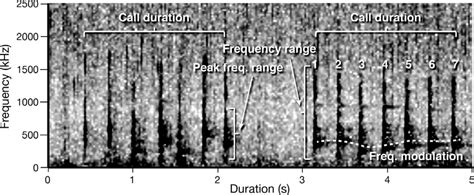 Gray Whale S1 Call Spectrogram Depicting Call Measurements Made During