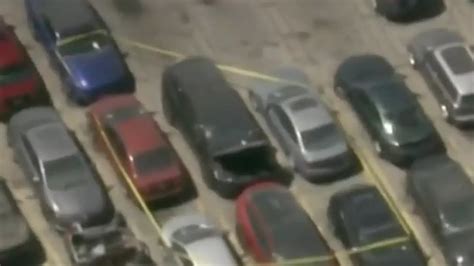 Former Wwe Star Saraya Jade Bevis Didnt Really Want To Be Alive Anymore After Her Sex Tape Leaked