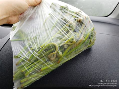 스페인 갈리시아 스페인의 숨은 보석 갈리시아 비가 와도 우리는 바다에 간다 한여름에도 서늘한 스페인 북서부 자연 그대로의 해변가 많은 곳 밧줄타고 절벽내려가야