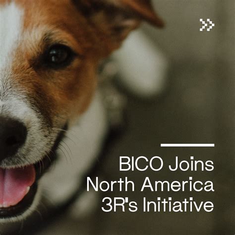 Bico Joins The North American 3rs Collaboratives Na3rsc Microphysiological Systems Mps
