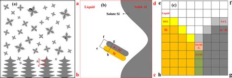 Schematic Diagram Of Solidification Dendrites And Eutectic Phases A