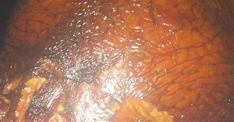 24 Lb Honey Herb Brined Smoked Turkey Imgur
