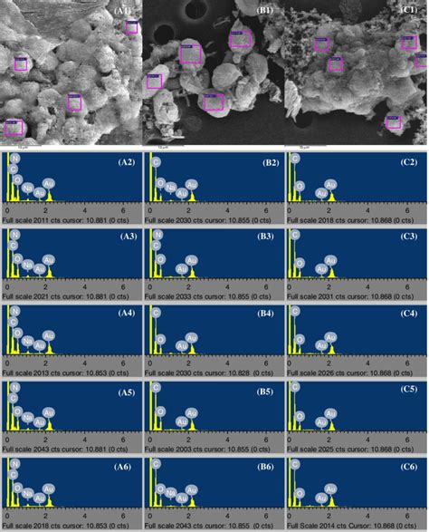 Description Of The Visible Spectral Difference Among Normal Lsil And