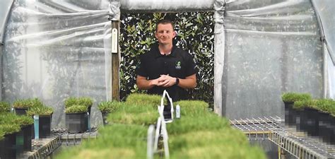 Who Is Lawn Solutions Australia All Turf Solutions