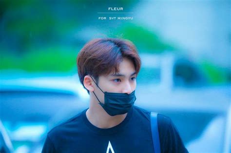 Pin De 조슈아💫 En Seventeen