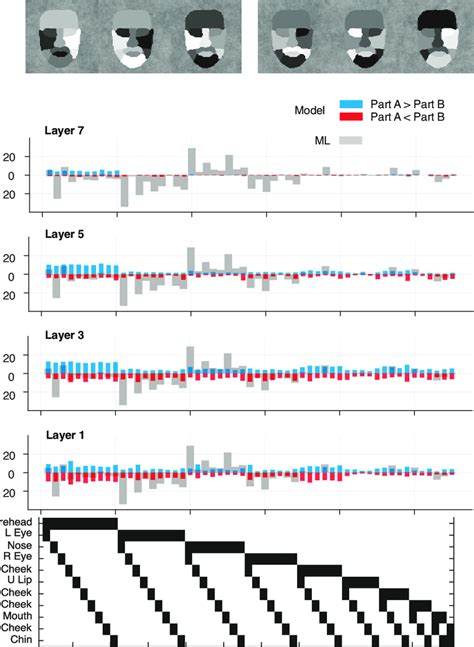 Contrast Polarity Tuning A Examples Of Mosaic Like Cartoon Face Images Download Scientific